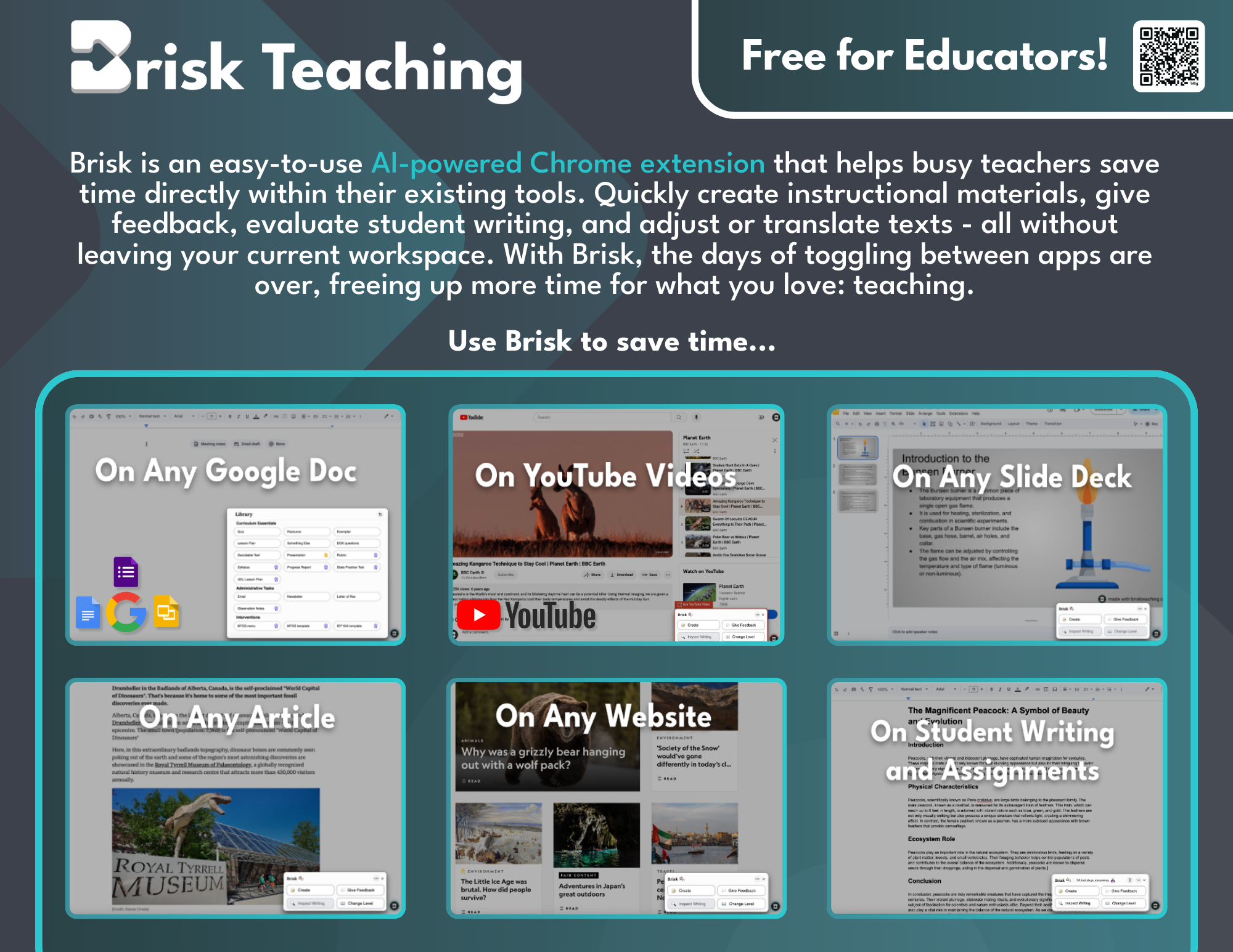 Brisk Teaching Professional Development Resources